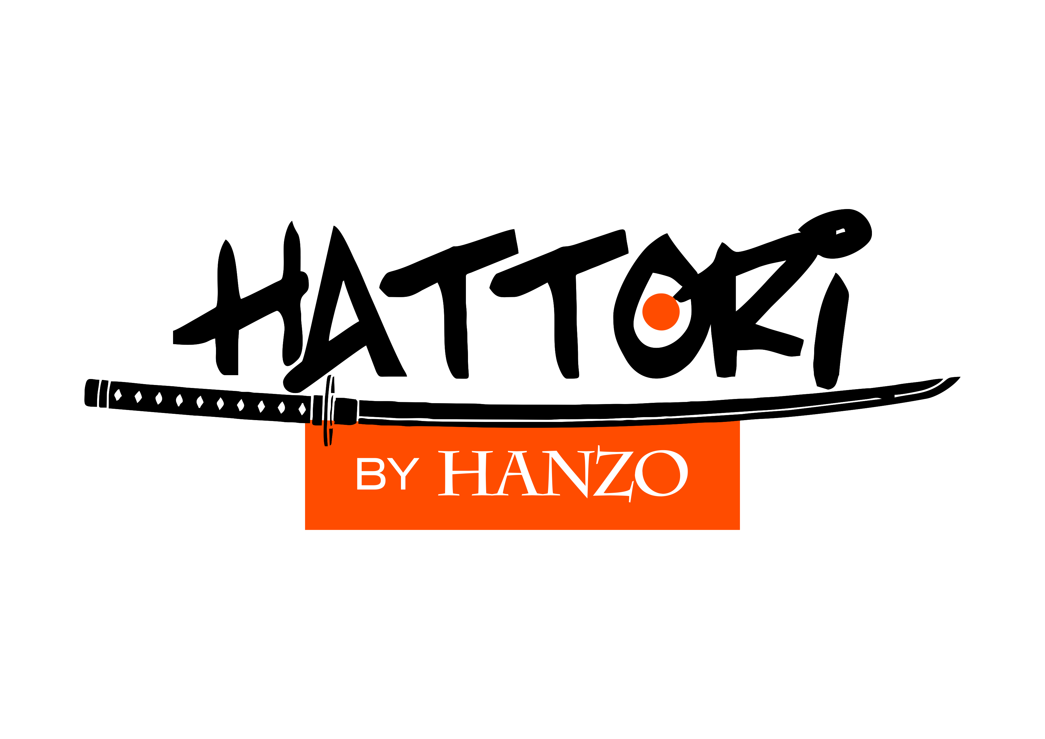 Hattori by Hanzo - Alumnos Santiago